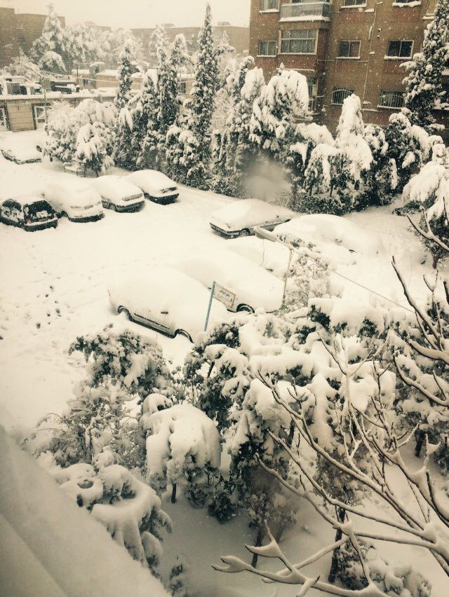 برف سنگین امروز ، تهران، 8 11 96 عکس ویسگون