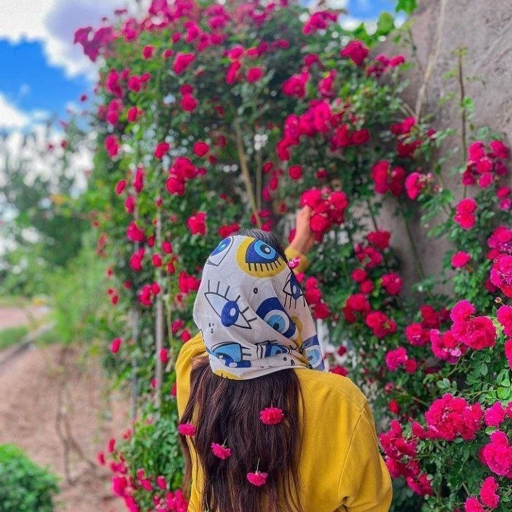 برای بوسیدن شب عکس ویسگون