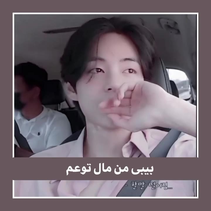 بی تی اس پارک بو یونگ نامجون جین شوگا جیهوپ جیمین تهیونگ فیلم ویسگون