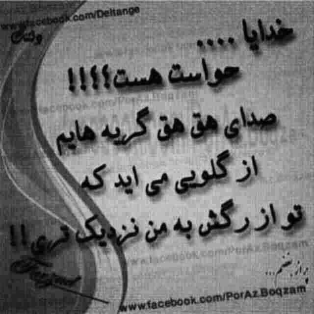 عکس ویسگون