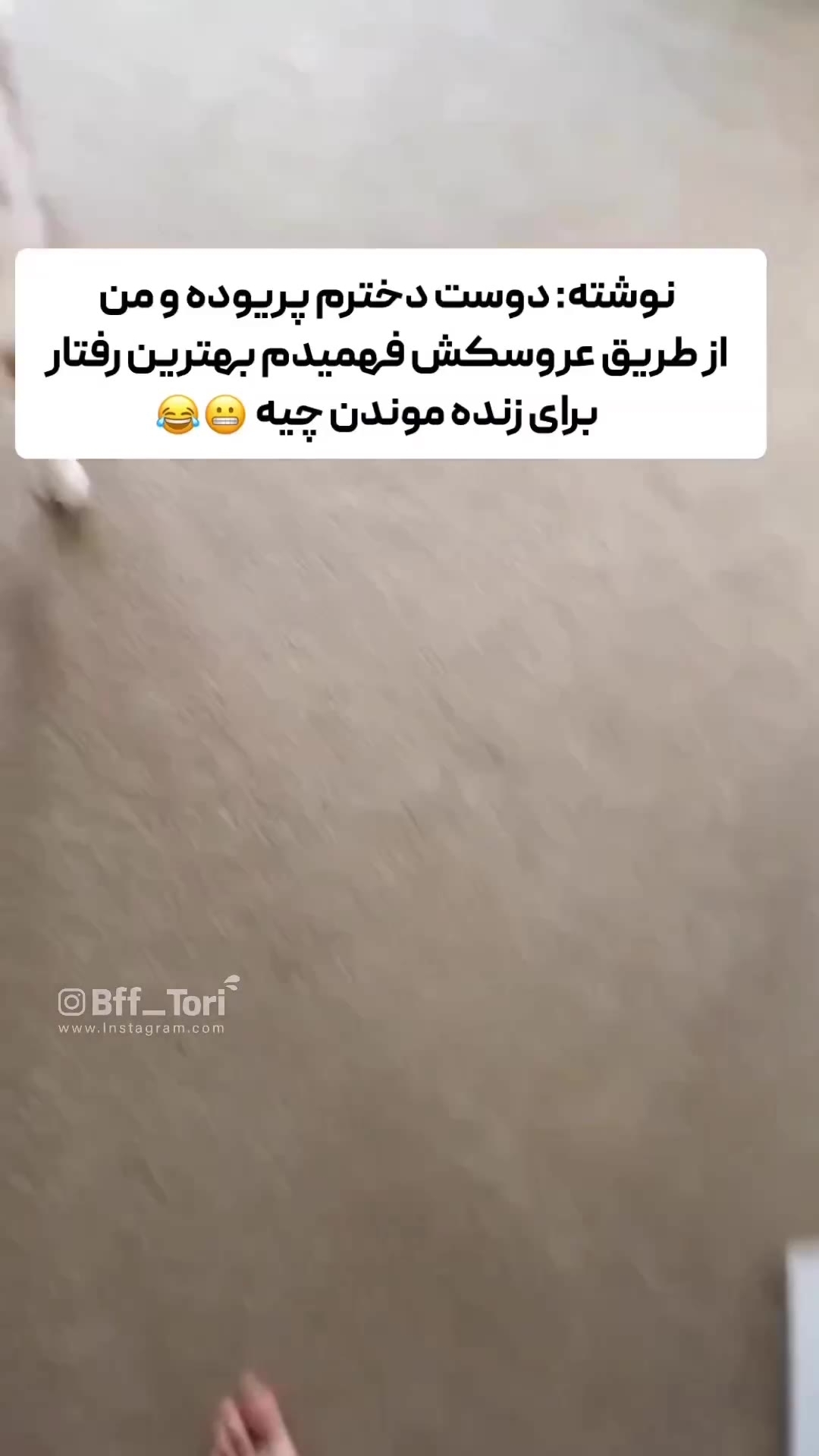 نمیشه منم پریود بشم؟😂😂 فیلم ویسگون