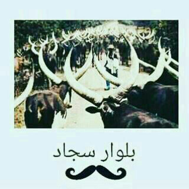 ادم وقتی میره بلوار سجاد مشهد سمت شاش استریت و بهارستان عکس ویسگون