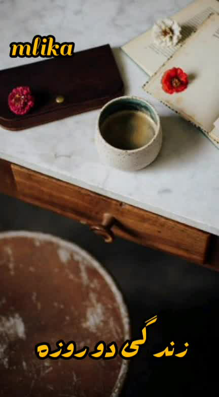 mlika - فیلم ویسگون