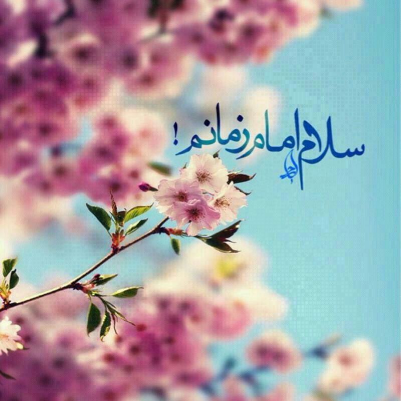 سکس با خاله جون عکس ویسگون