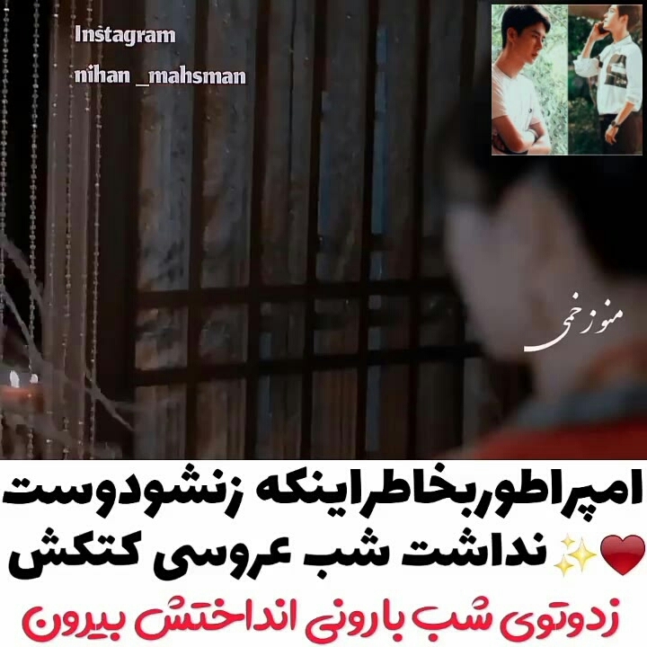 میکس چینی فیلم ویسگون